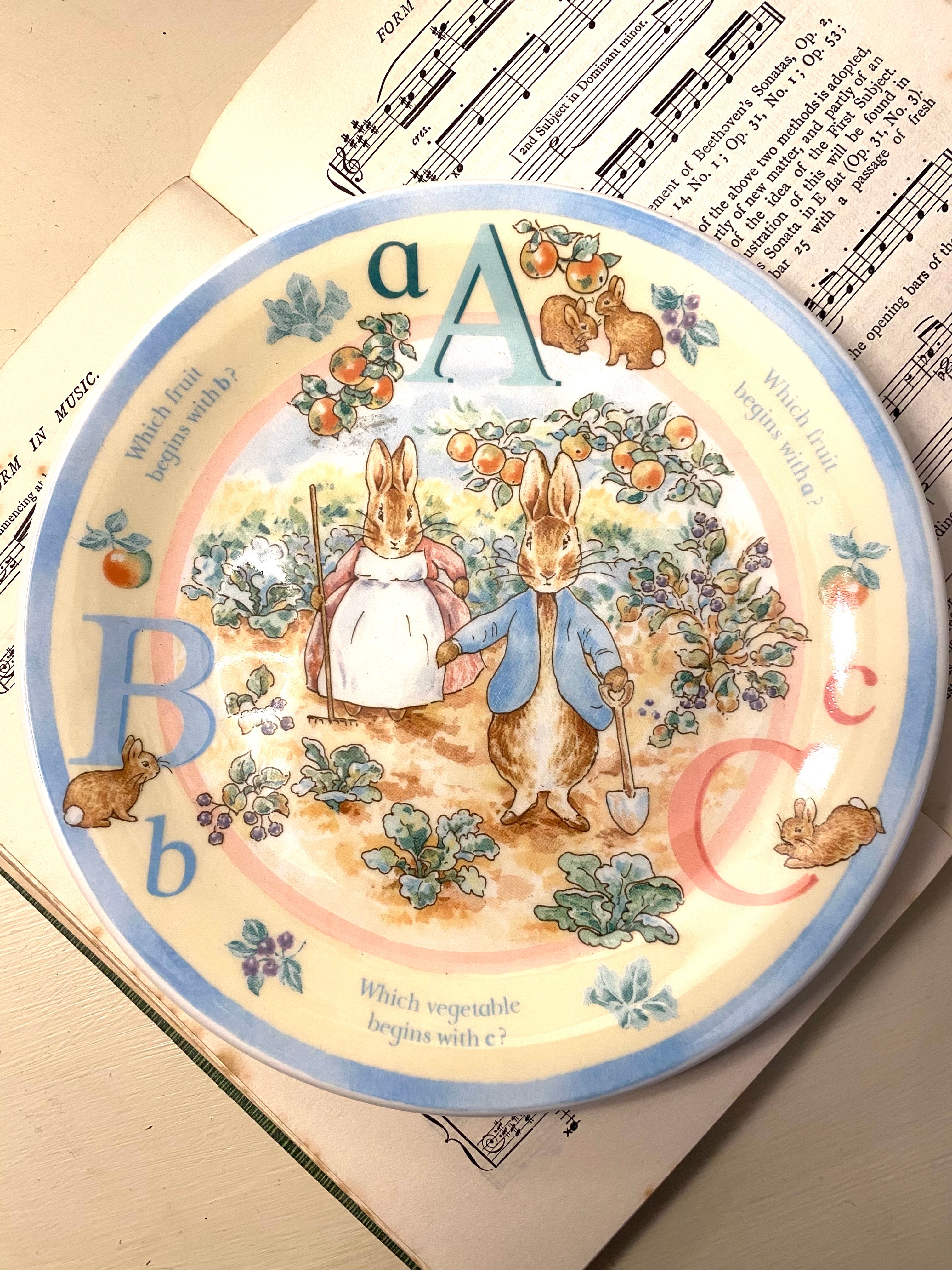 Wedgwood Peter Rabbit Plate – The Vintage Tearoom